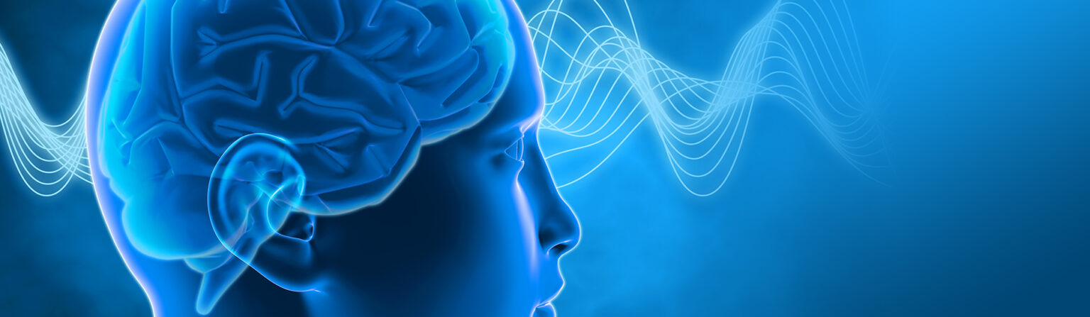 Risk Assessment & Management - ARA