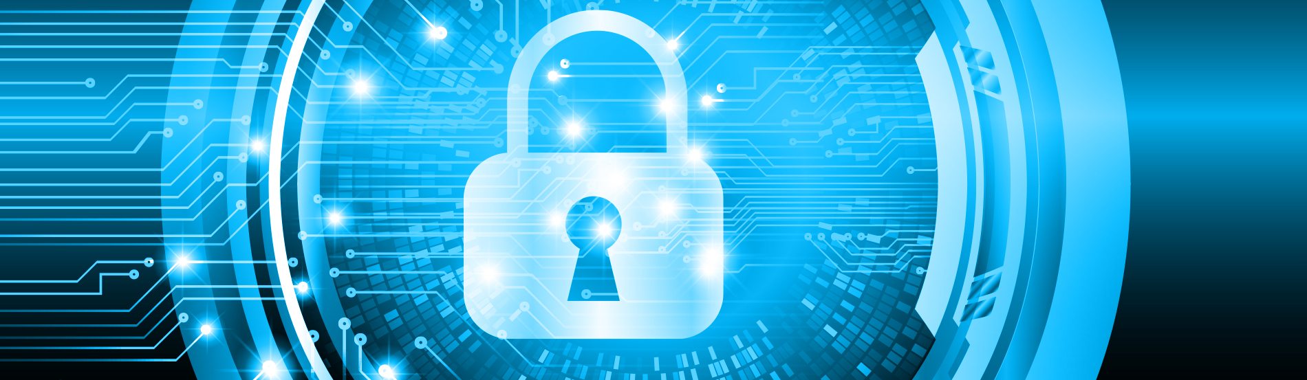 Risk Assessment & Management - ARA