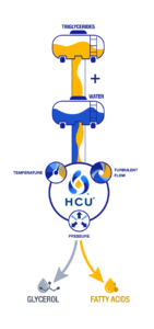 Hydrothermal Fat Splitting Using ARA's HCU Process
