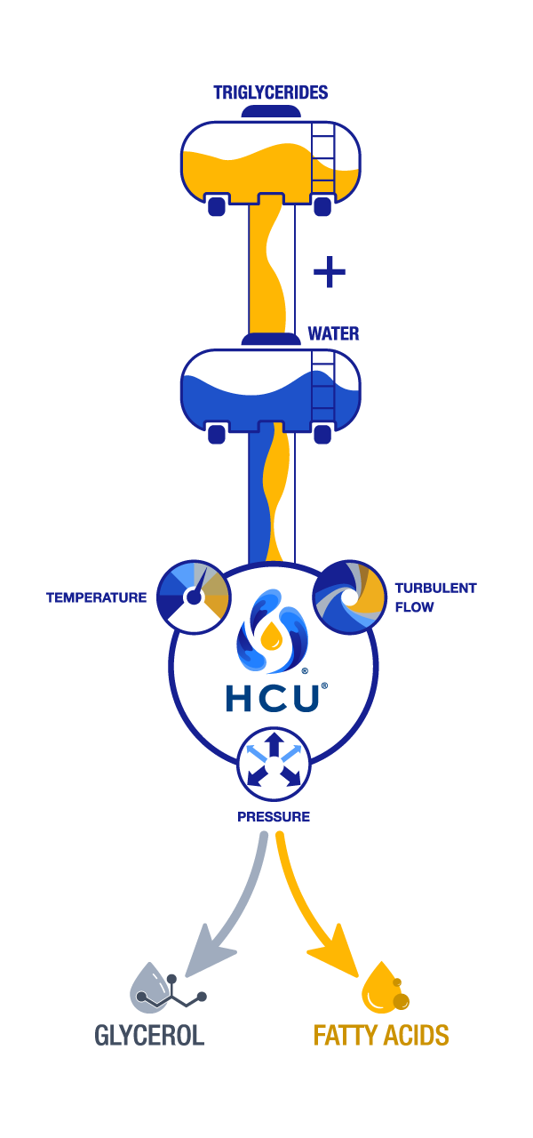 Hydrothermal Fat Splitting Using ARA's HCU Process