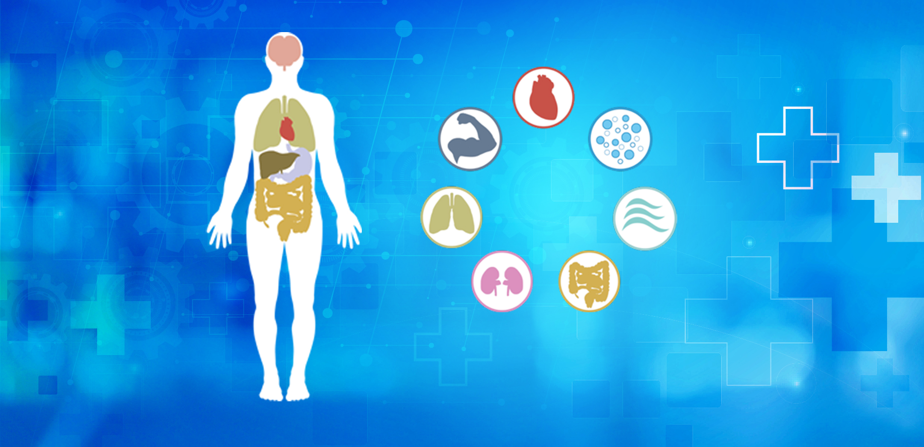 BioGears Human Physiology Engine - ARA